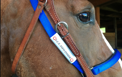 Safety First: How Bridle Tags Can Aid in Horse Recovery and Rescue ...