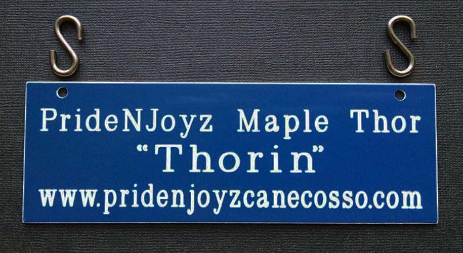 Personalized Dog Signs: Custom Engraved Name and Crate Signs