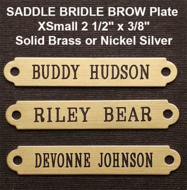 Engraved Bridle Brow or Small Saddle/Collar Name Plate X SMALL 2 1/2"