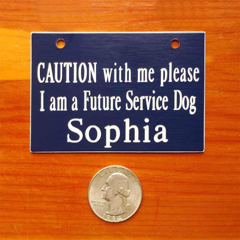 Personalized Dog Signs: Custom Engraved Name and Crate Signs