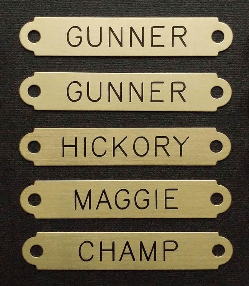 Engraved Dog Collar Name Plates for Personalized Pet Accessories
