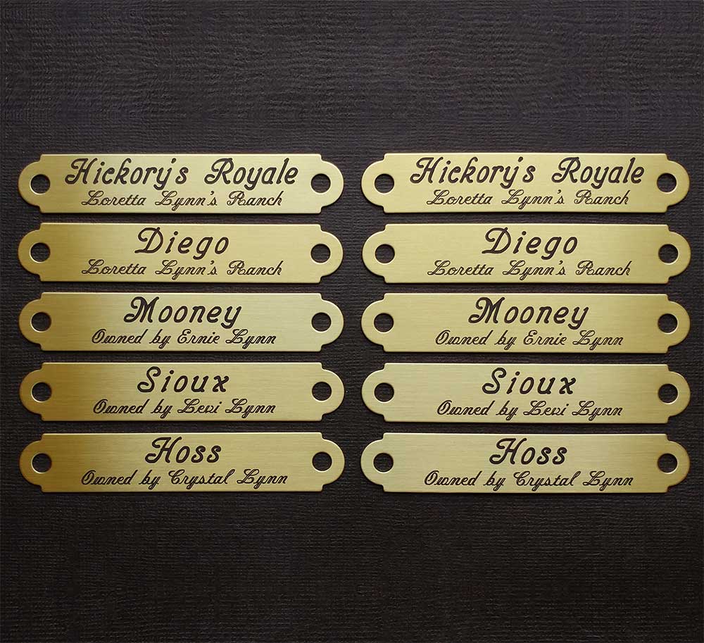 ENGRAVED HALTER or COLLAR NAME PLATE MEDIUM 3 1/2" x 5/8" Solid Brass