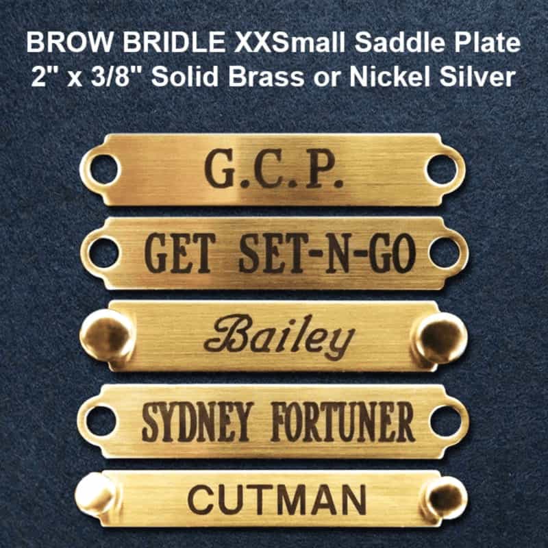 Engraved Bridle Brow or XX Small Saddle Name Plate - Solid Brass or ...